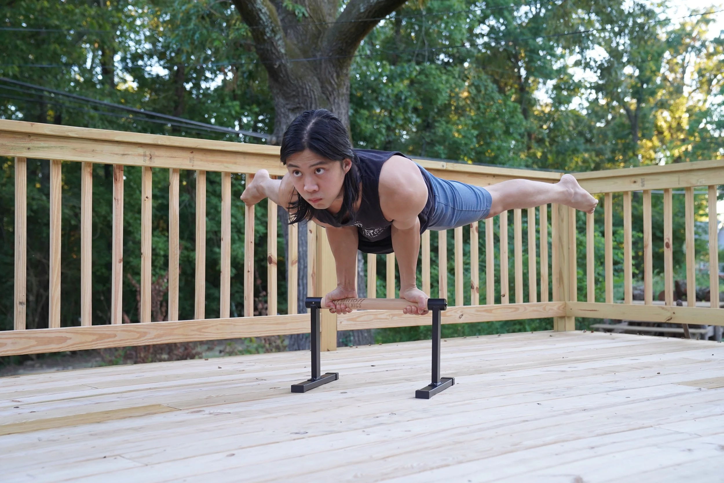 Elbow Levers | Start Your Calisthenics Journey — Hybrid Calisthenics