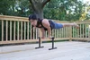 Elbow Levers | Start Your Calisthenics Journey — Hybrid Calisthenics