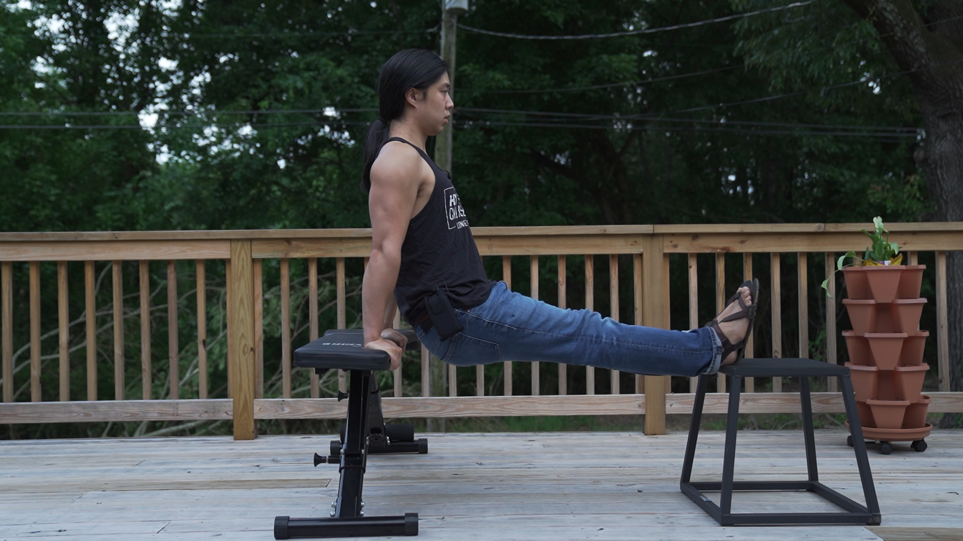 Dips Exercise Description