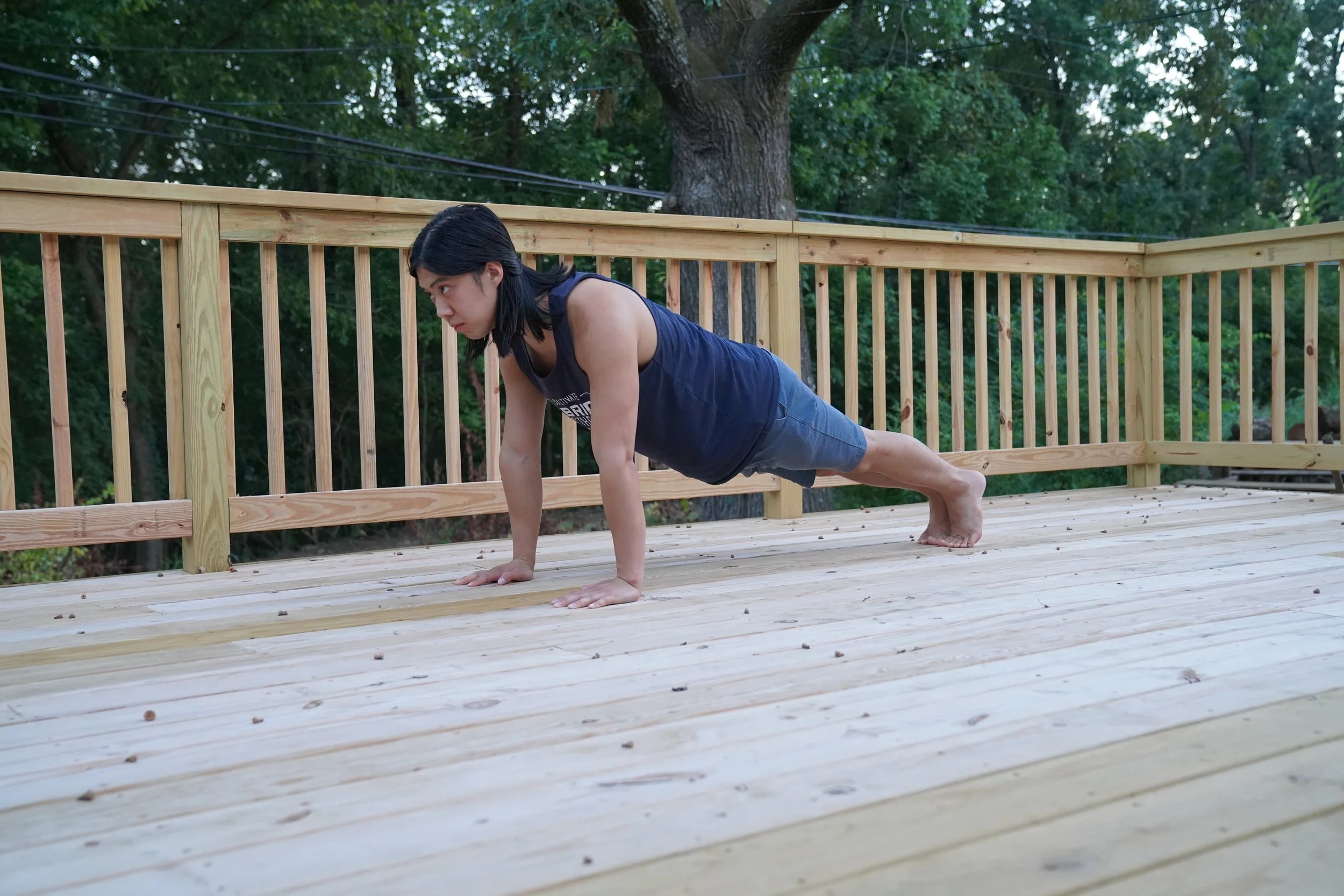 Elbow Levers | Start Your Calisthenics Journey — Hybrid Calisthenics