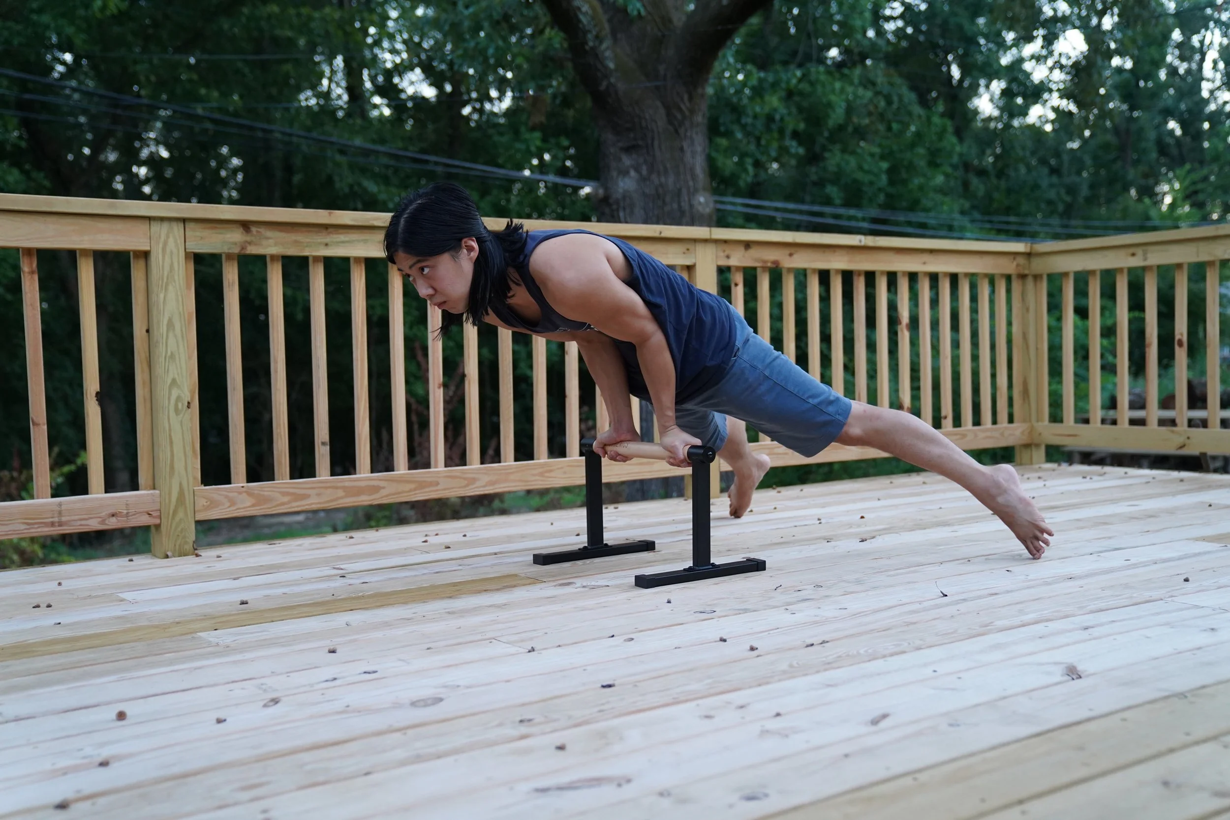 Elbow Levers | Start Your Calisthenics Journey — Hybrid Calisthenics