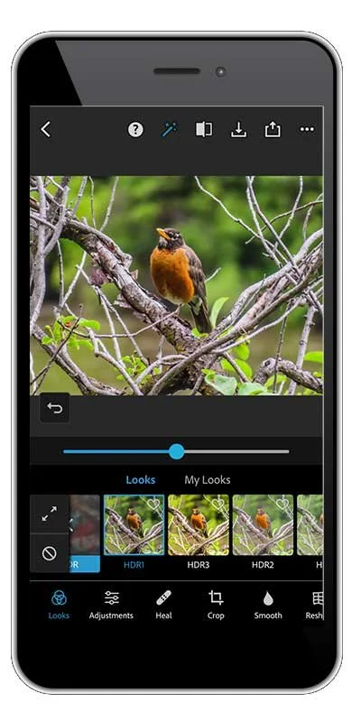 How To DIY: Graphic Design For Nonprofits — High Mountain Creative ...