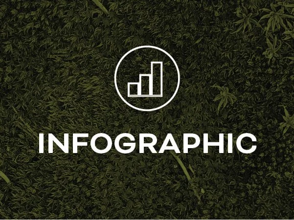 Case Study: Nonprofit Earned Income Model Infographic Design — High ...