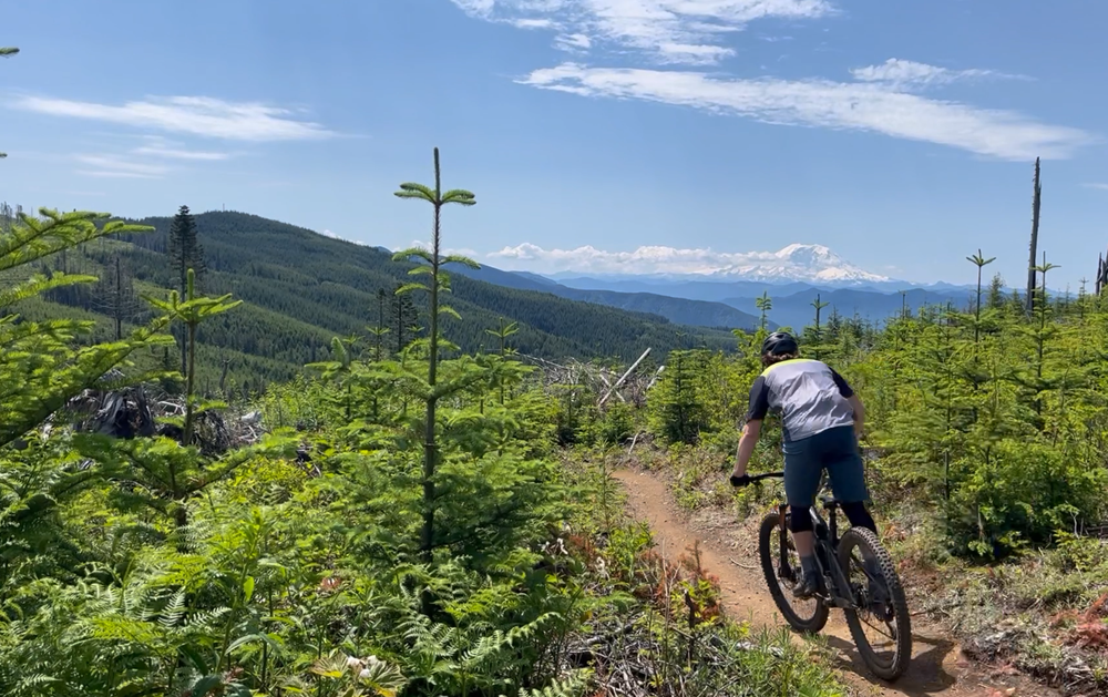 YT Izzo - A review in 2023 for a bike from three years ago ...