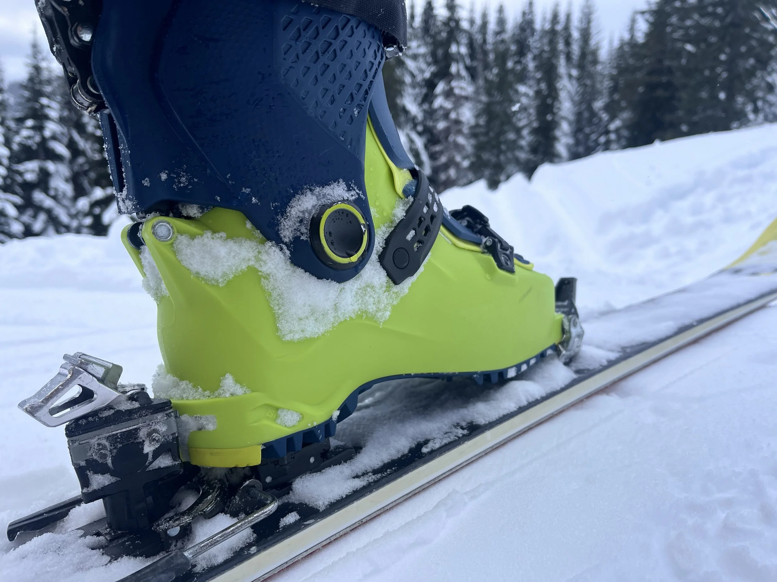The Dynafit Radical Binding 12 Years & Counting — Experienced Gear