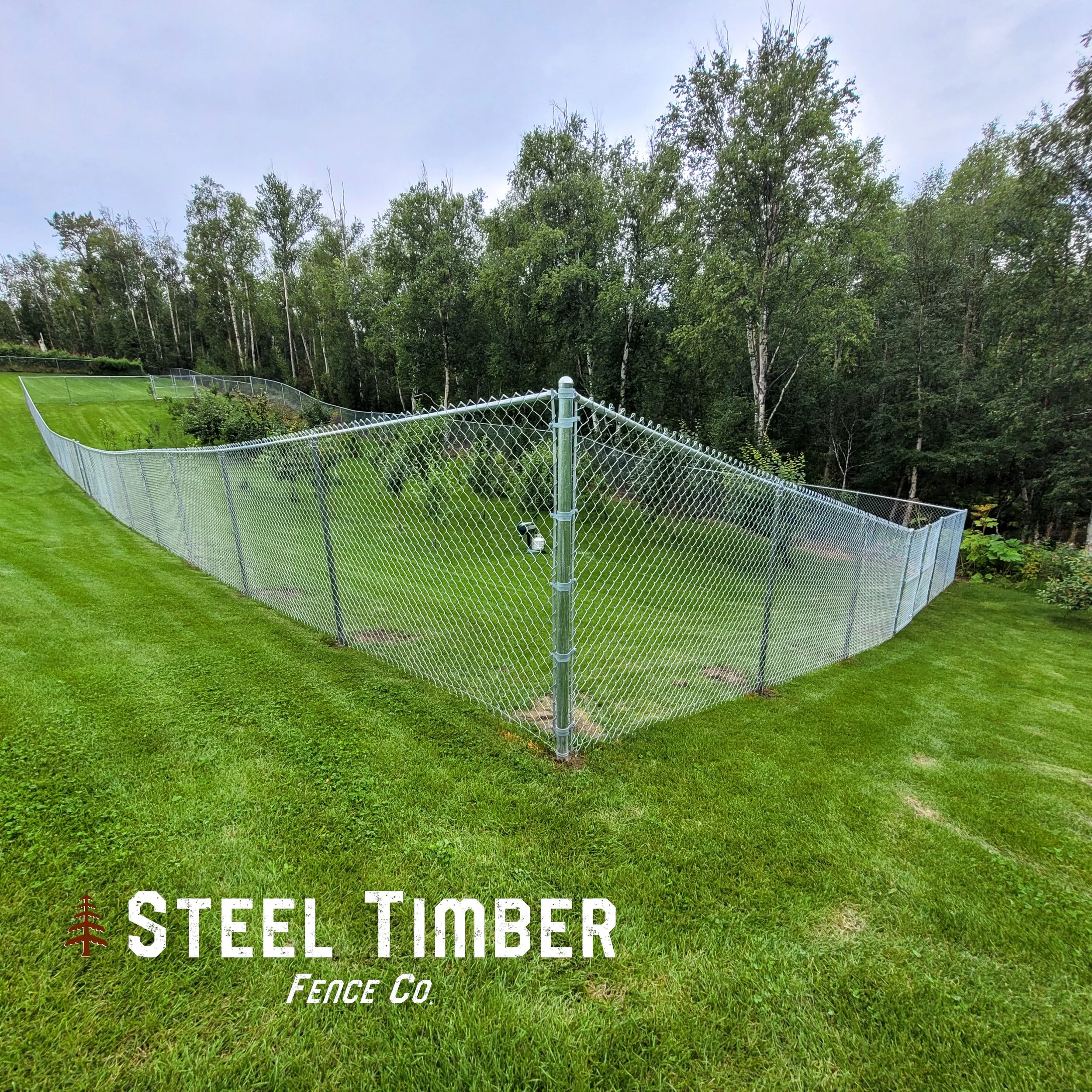 Steel Timber