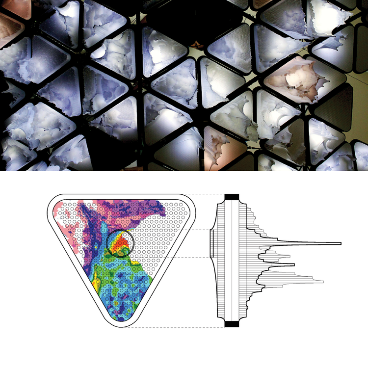 Bio City Map Of 11 Billion — Terreform ONE