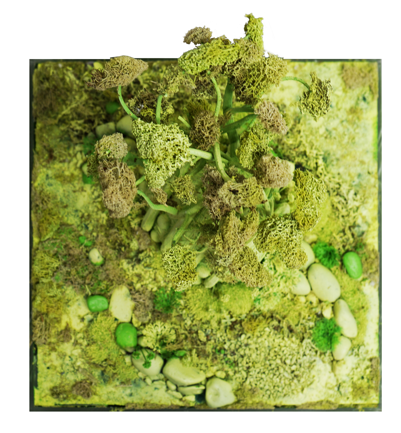 Fab Tree Hab — Terreform ONE