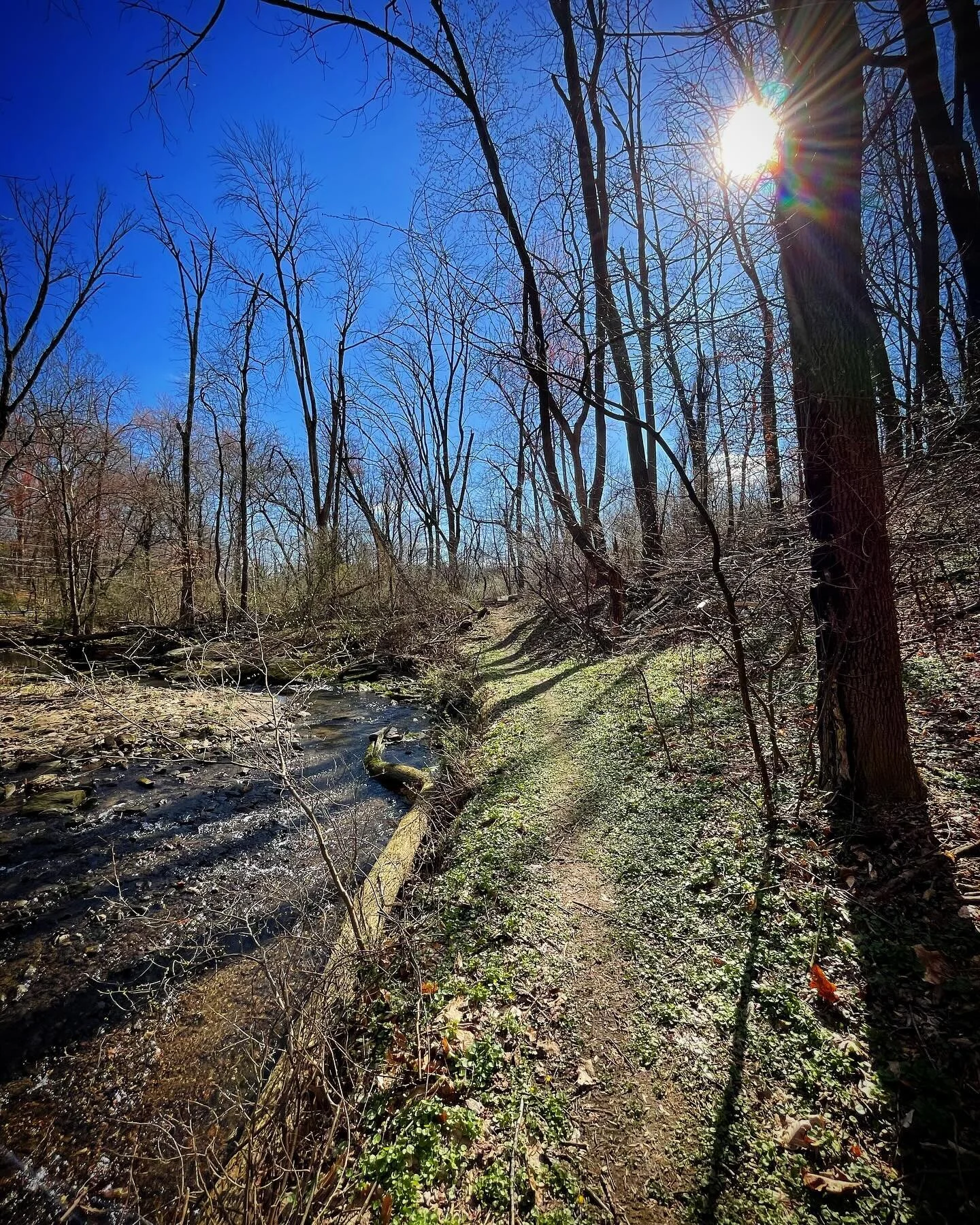 Public Progressive Bike Trails — DELCO Area Biking