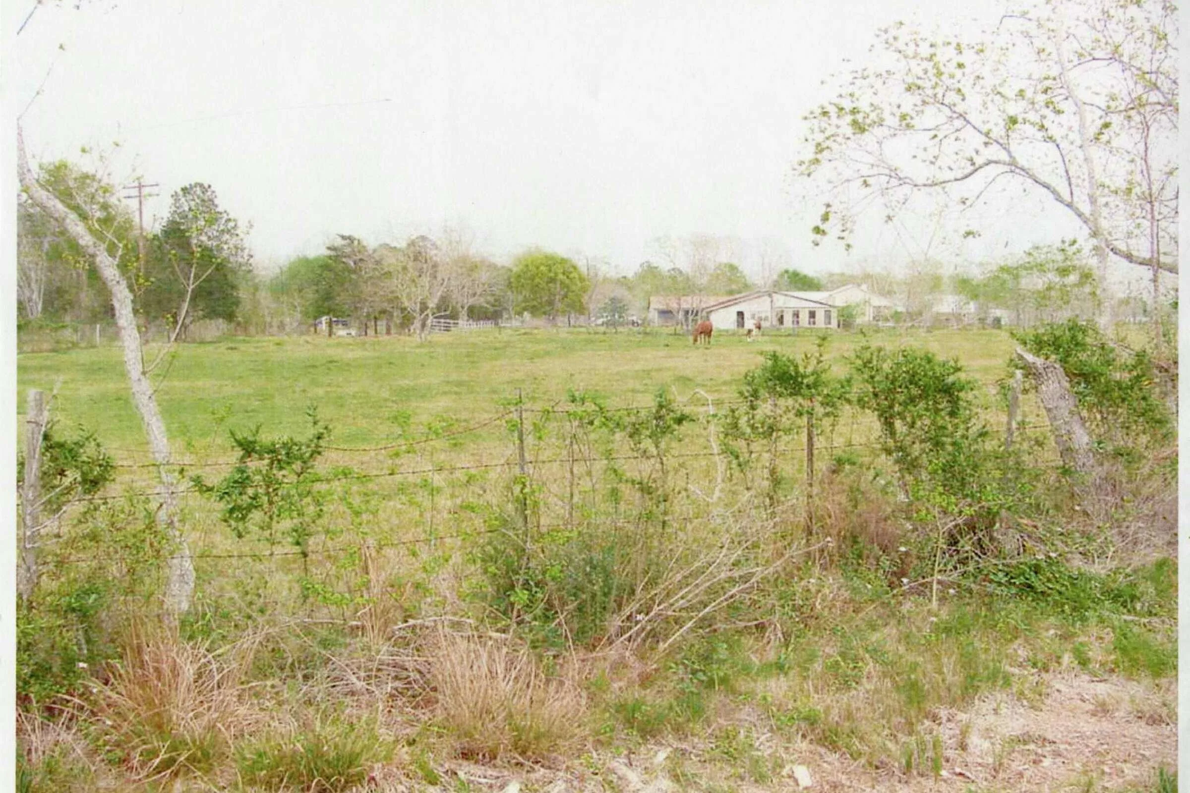 Edward Howard Bell — Texas True Crime Blog