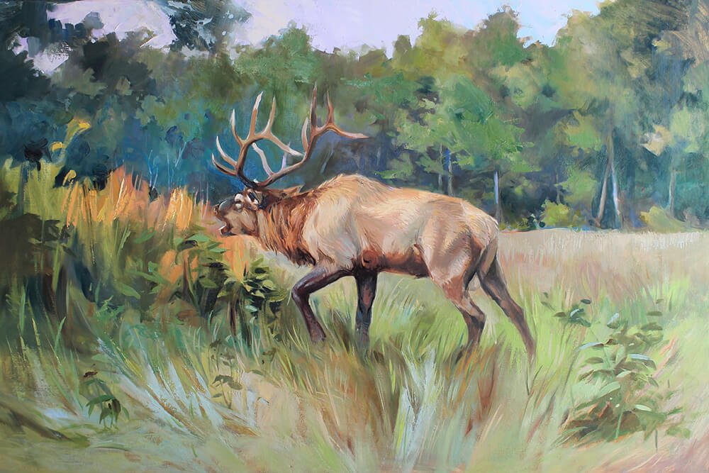 Wildlife Paintings — Ron Thomson – Artist