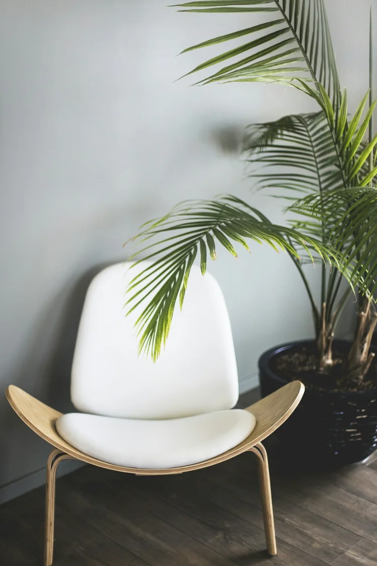 What is the Modern Organic Decorating Style, and Why Do We Love It ...