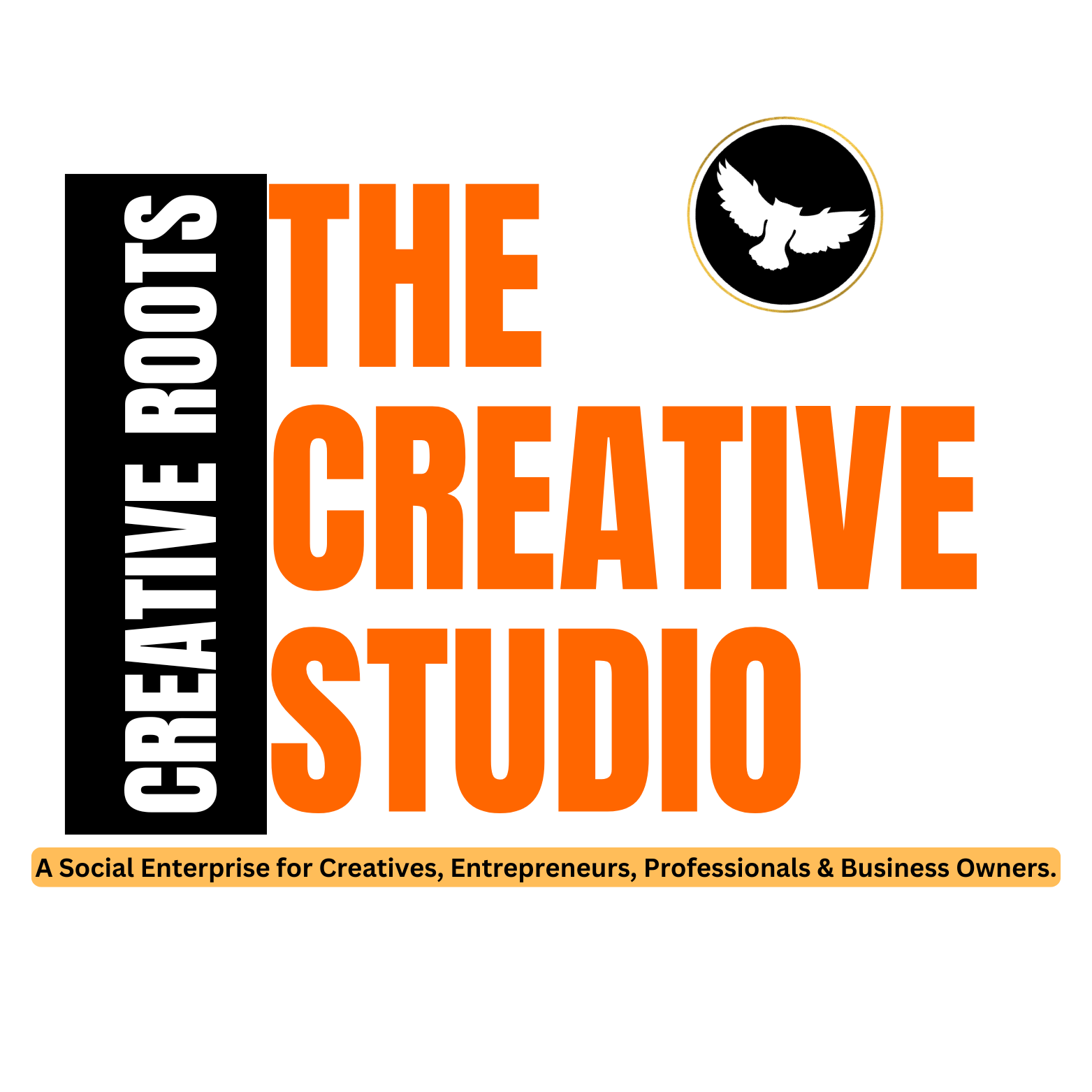 Creative Roots: Leading Creative Media Production Studio in Syracuse ...