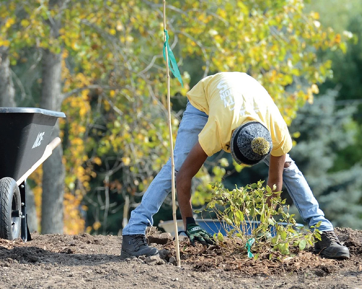 Land Restoration School