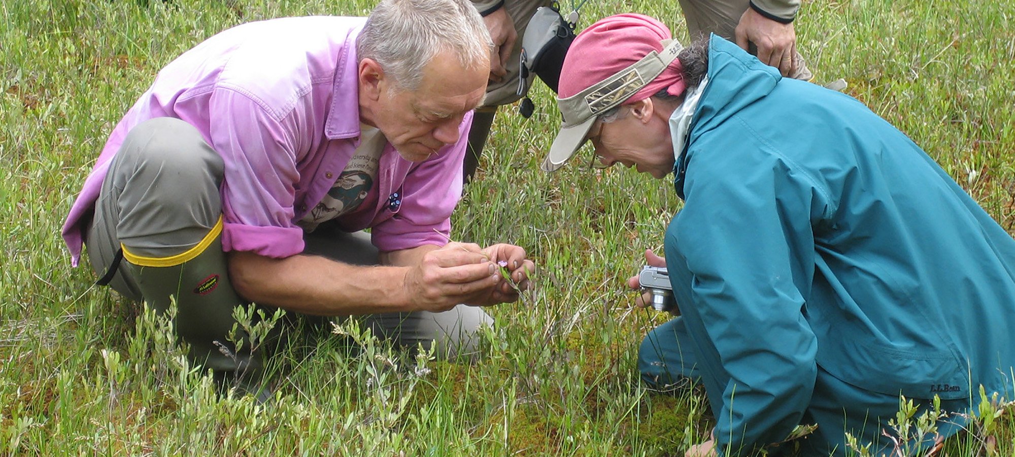 Land Restoration School