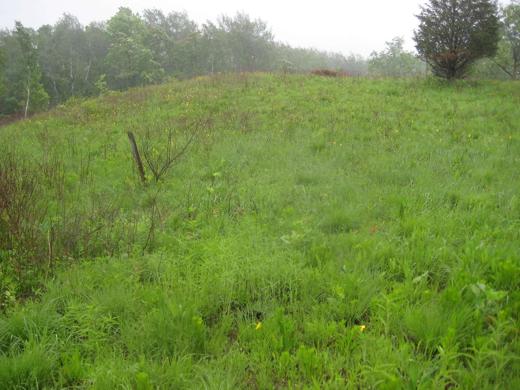 Land Restoration School