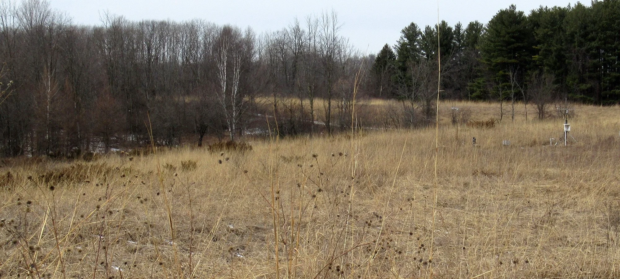 Land Restoration School