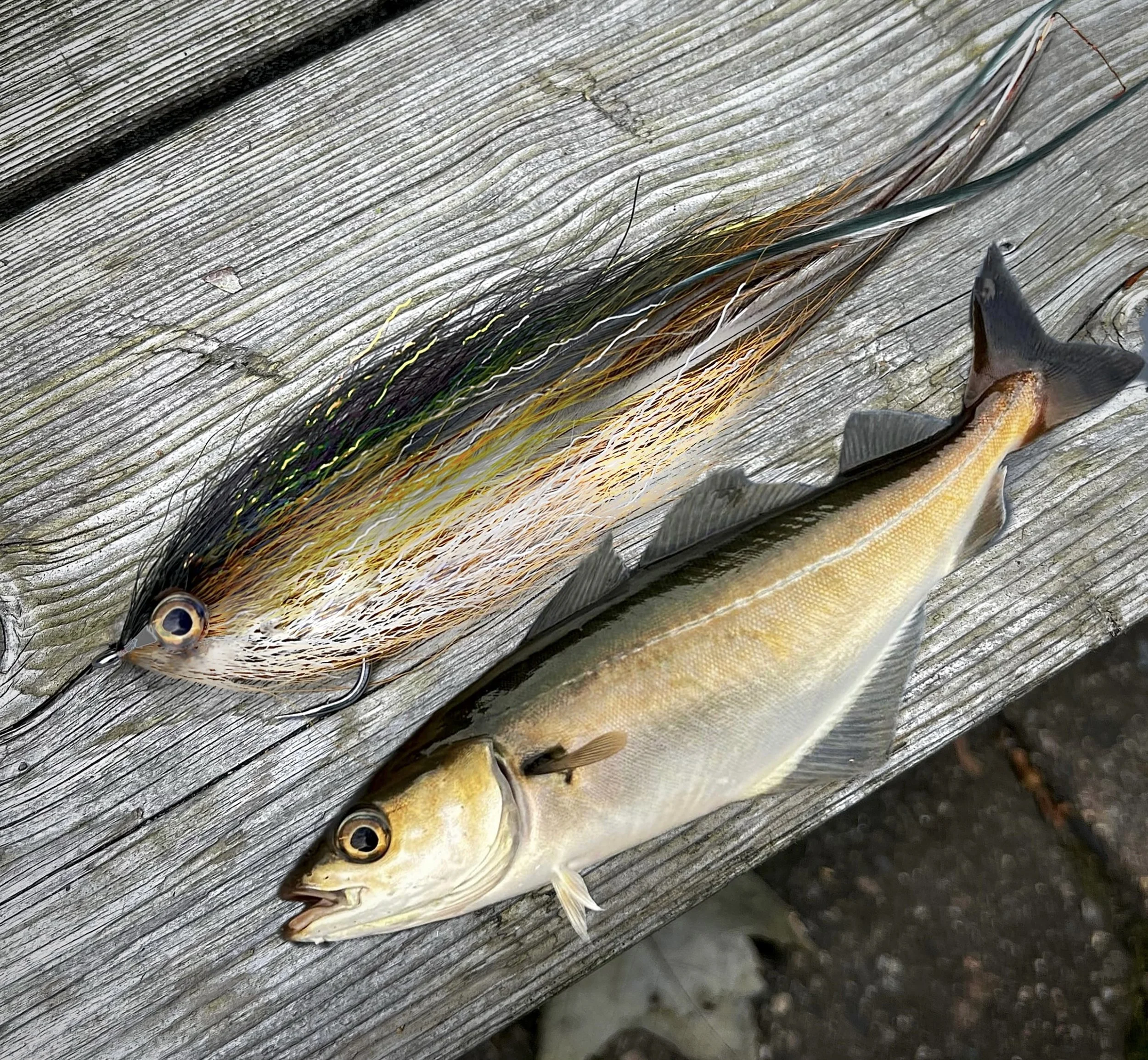 CUSTOM SALTWATER FLIES — Ben Whalley Fishing LLC