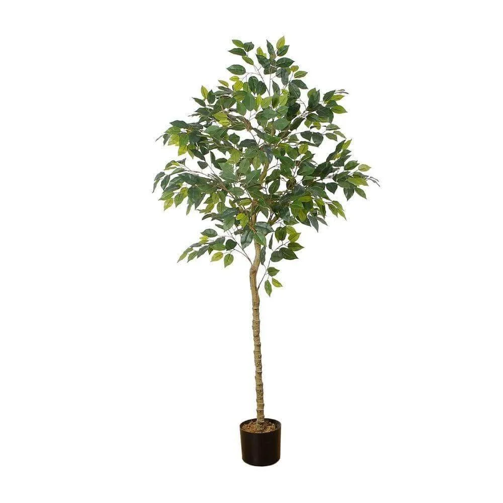 Plant Rentals For Events in Massachusetts- Bring The Outdoors In