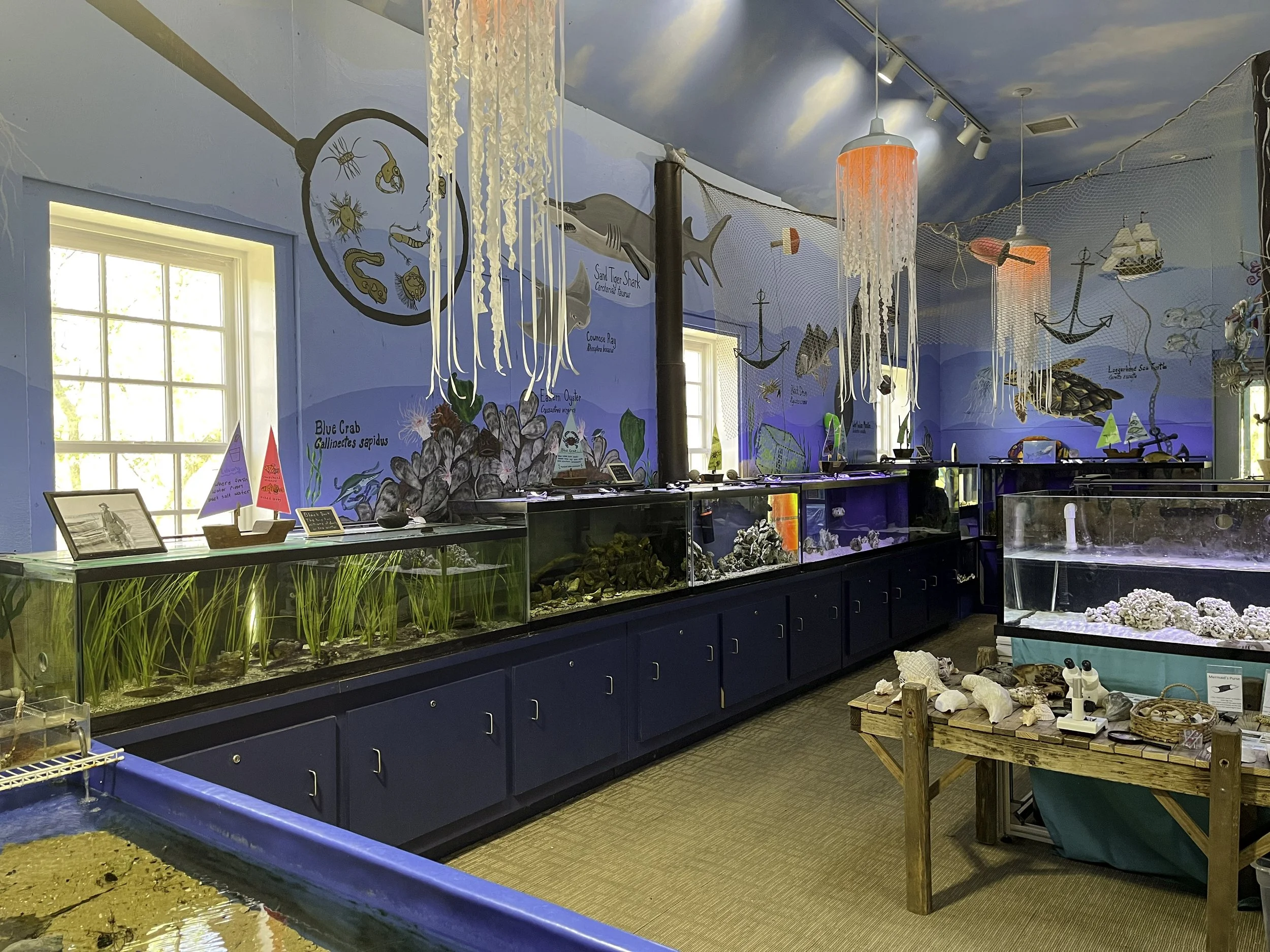 Pre-Visit Resources — Glen Echo Park Aquarium