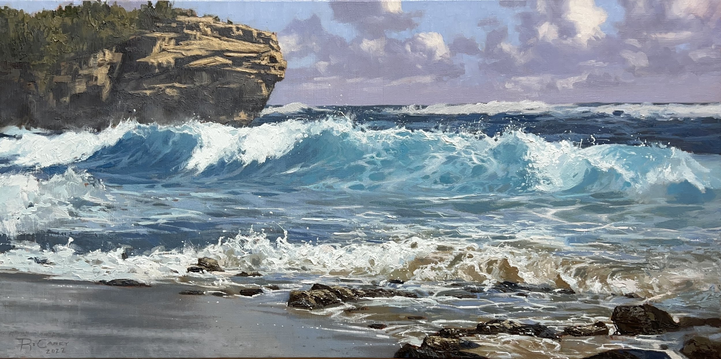 Rowan Carey Fine Art