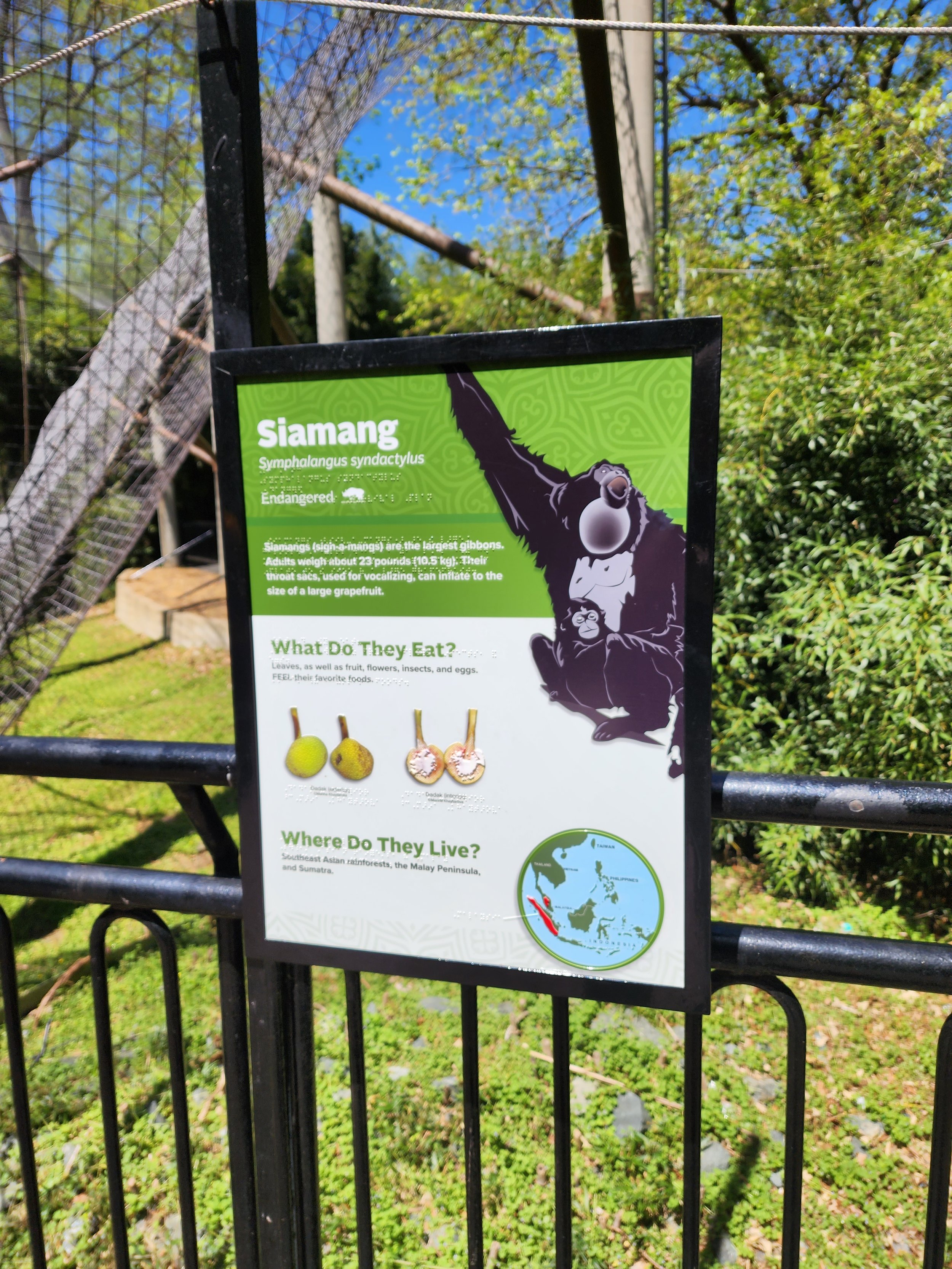 Gibbon Ridge Sign National Zoo Touch Graphics