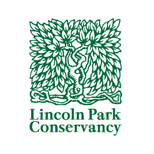 TOM STRINGER DESIGN PARTNERS