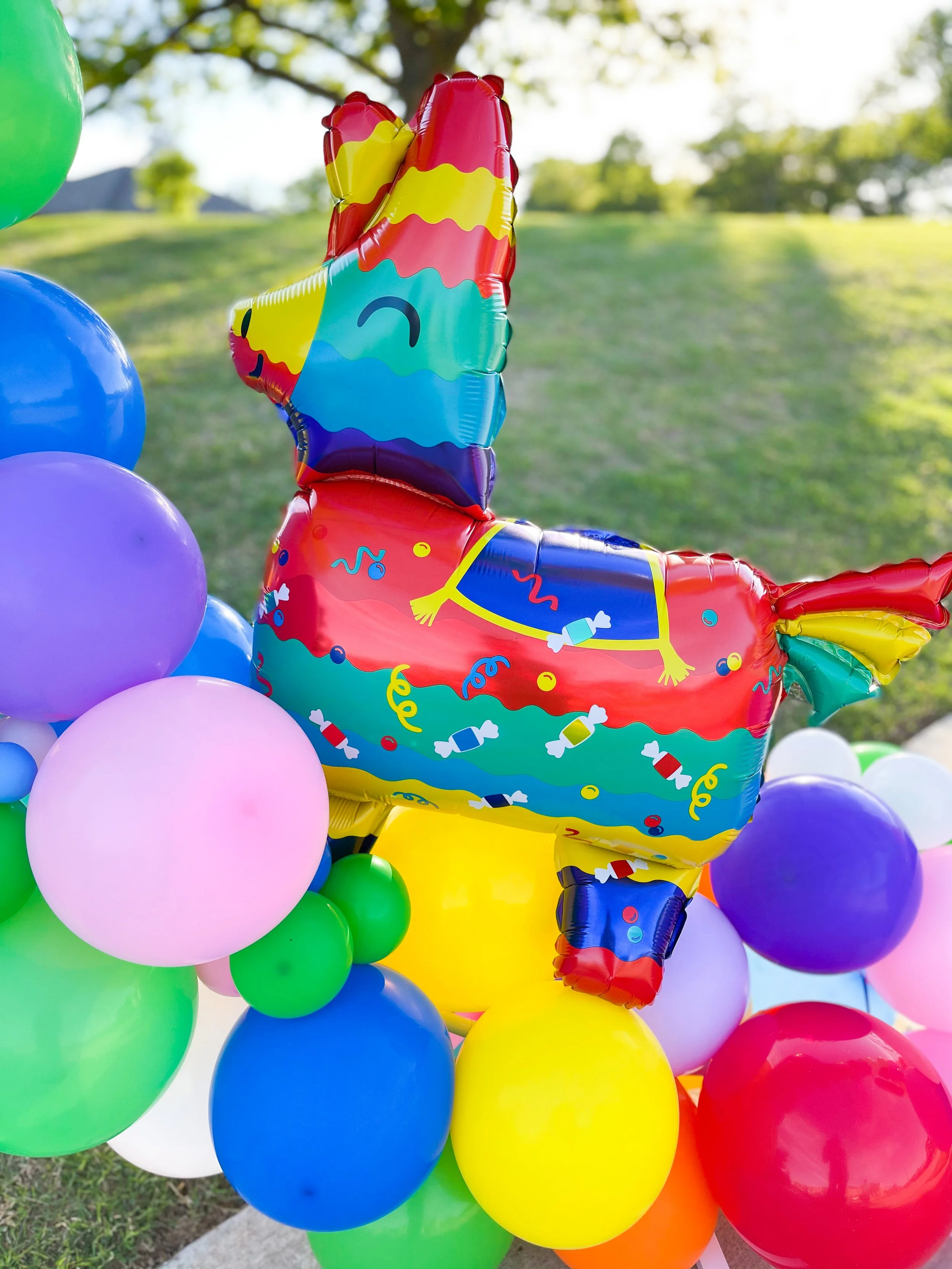 Gallery — Boujee not Basic Balloons