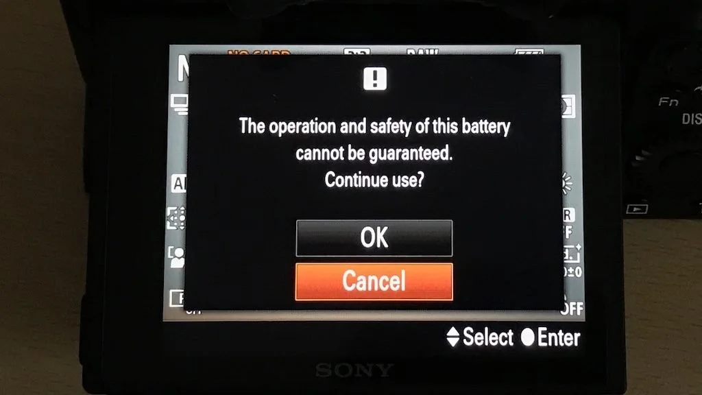 NP-FZ100 Teardown — Matt Telzerow Photography