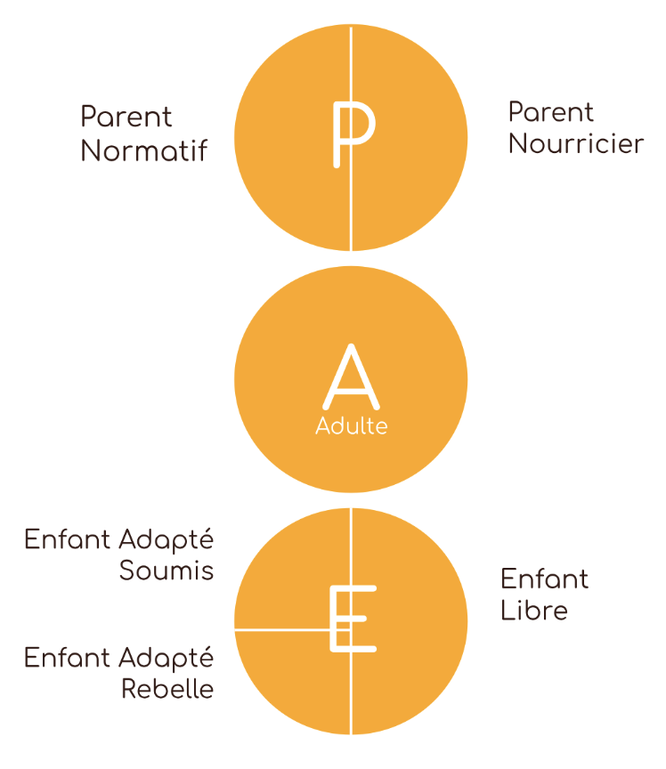 Analyse Transactionnelle : Etats du moi et Transactions | Blog de coach | Tafoga