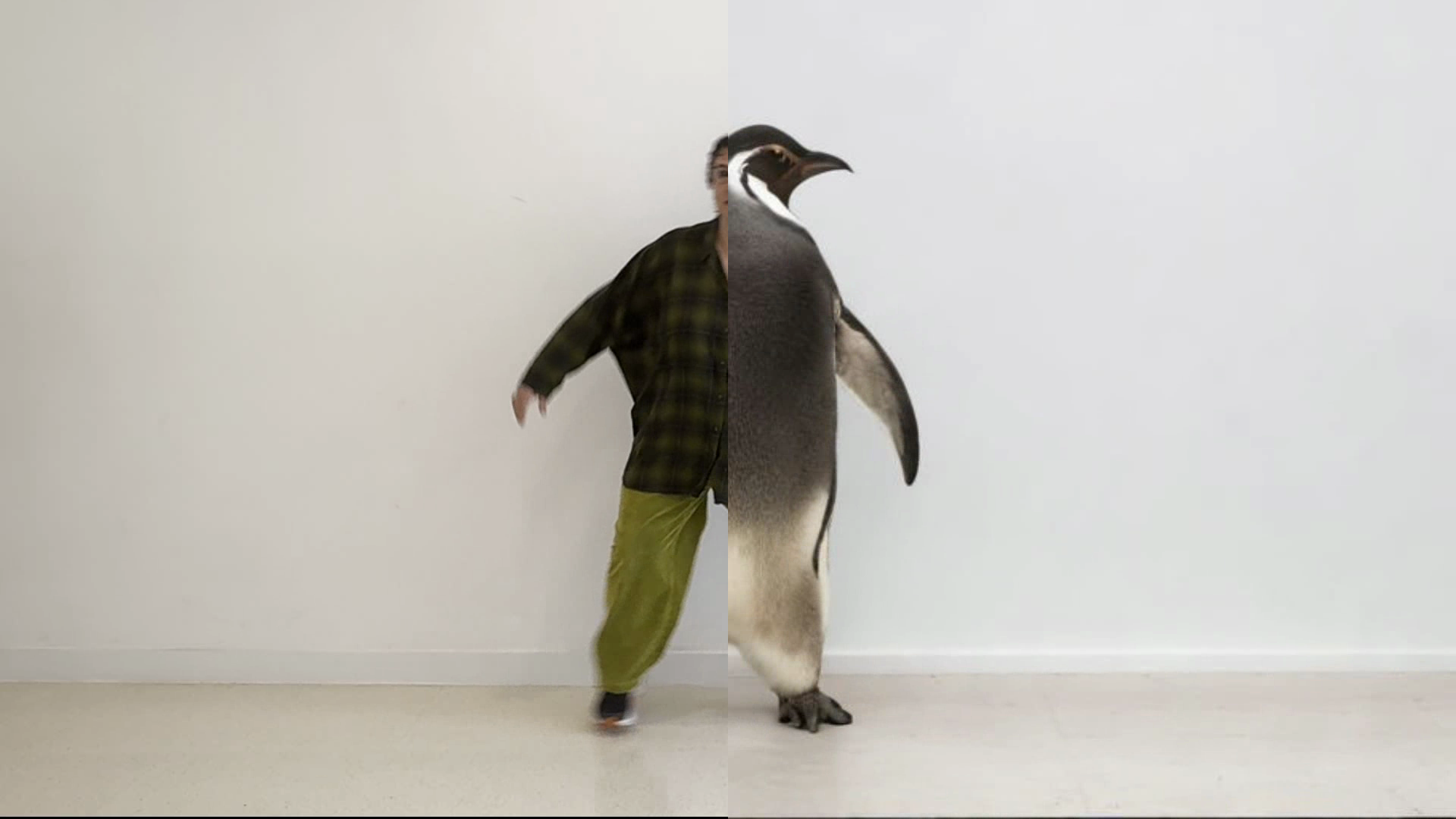 AI human transformations - Random Quark