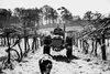 Our Story — Wickham Estate