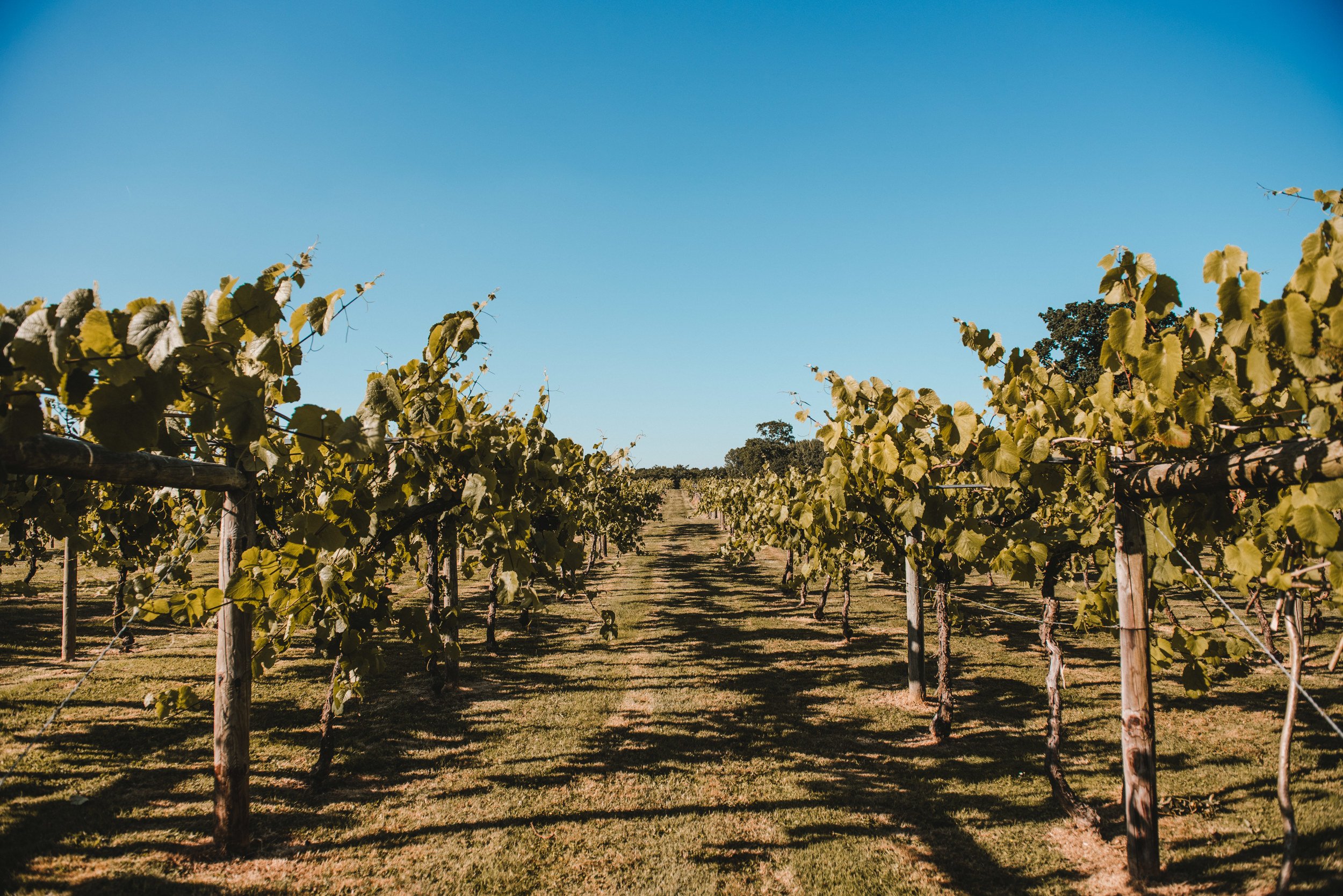 Hampshire Wedding Venue | Wickham Estate