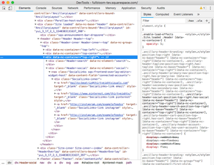 Floating vertical social media links in Squarespace • Beatriz Caraballo