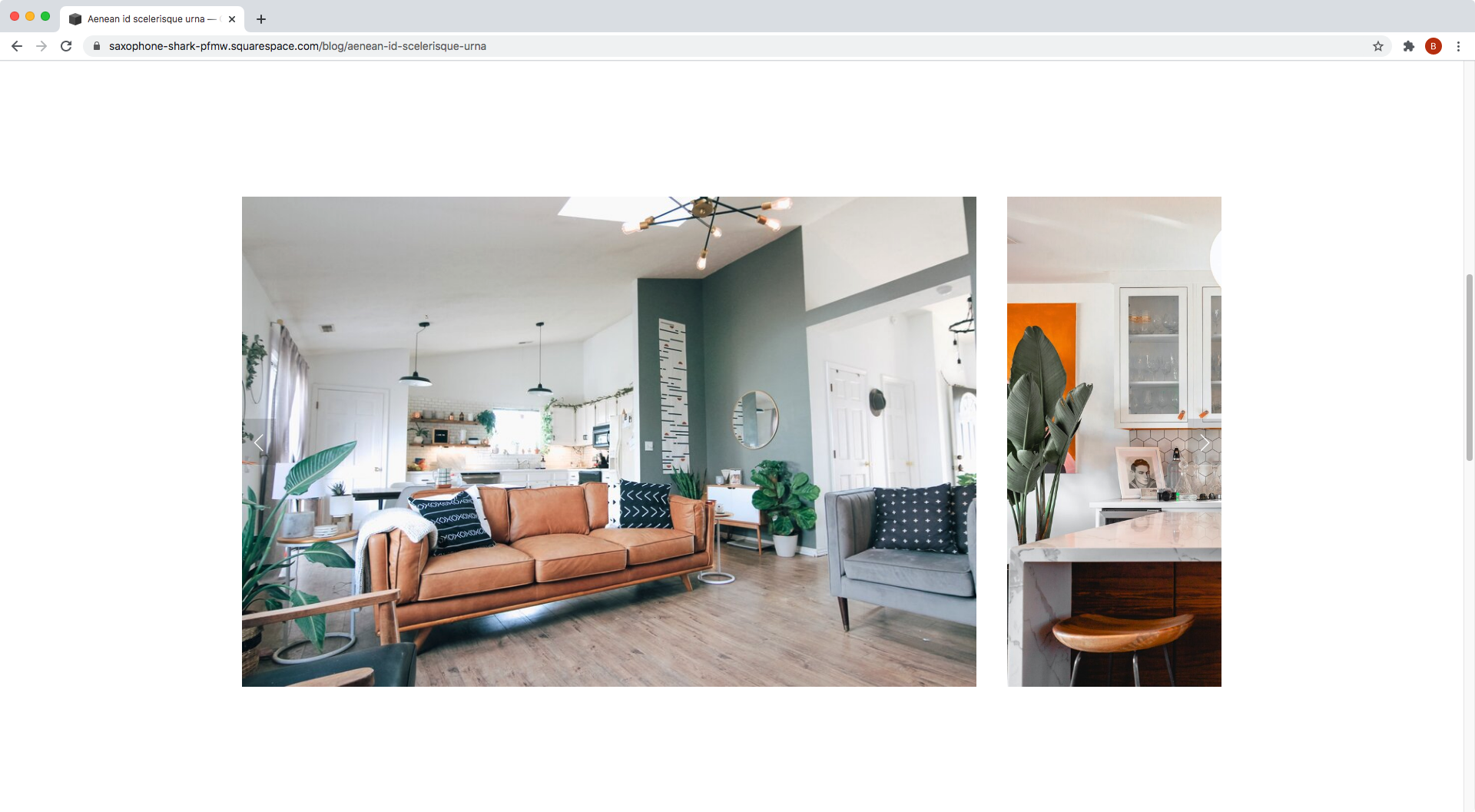 Adding Gaps Between Slides 7 0 7 1 Ce And 7 1 Fe Gallery Block Carousel Squarespace Coding