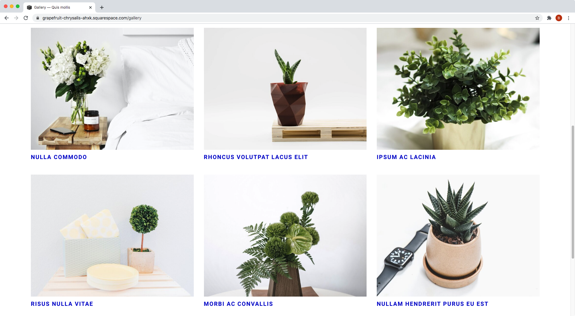Styling the caption font (7.1) - Gallery Section Grid Simple ... Styling the caption font (7.1) - Gallery Section Grid Simple ...