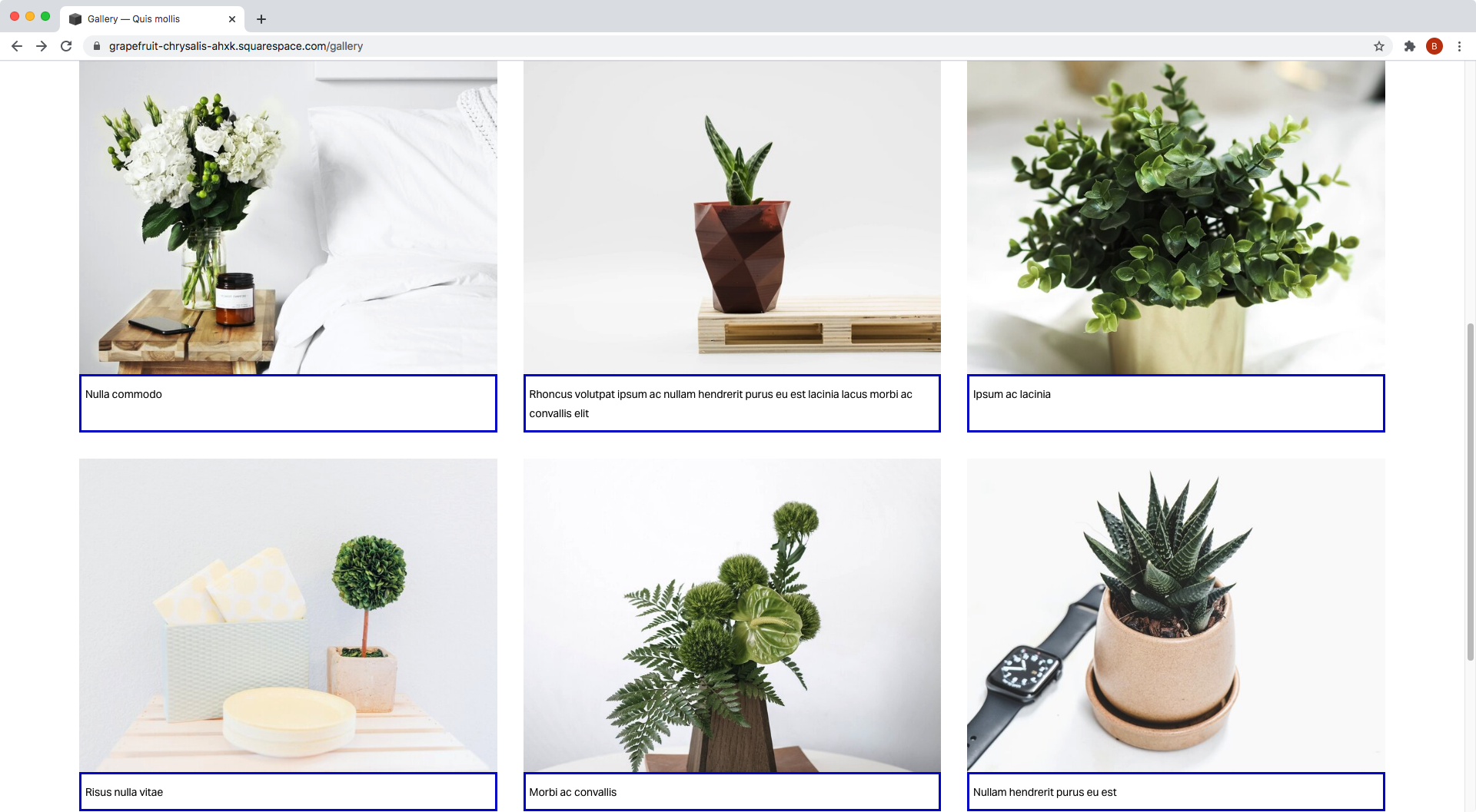 Styling the caption area (even height) (7.1) - Gallery Section Grid ... Styling the caption area (even height) (7.1) - Gallery Section Grid ...