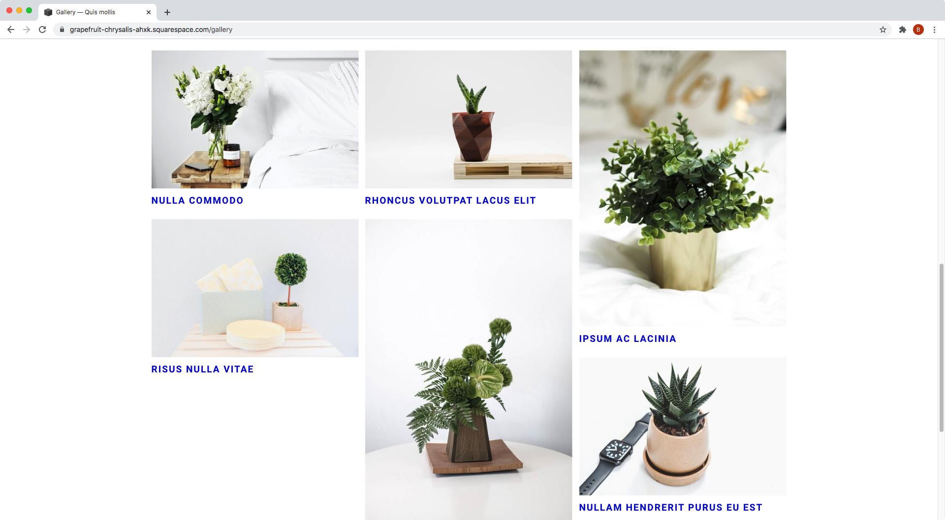 Styling the caption font (7.1) - Gallery Section Grid Masonry ... Styling the caption font (7.1) - Gallery Section Grid Masonry ...