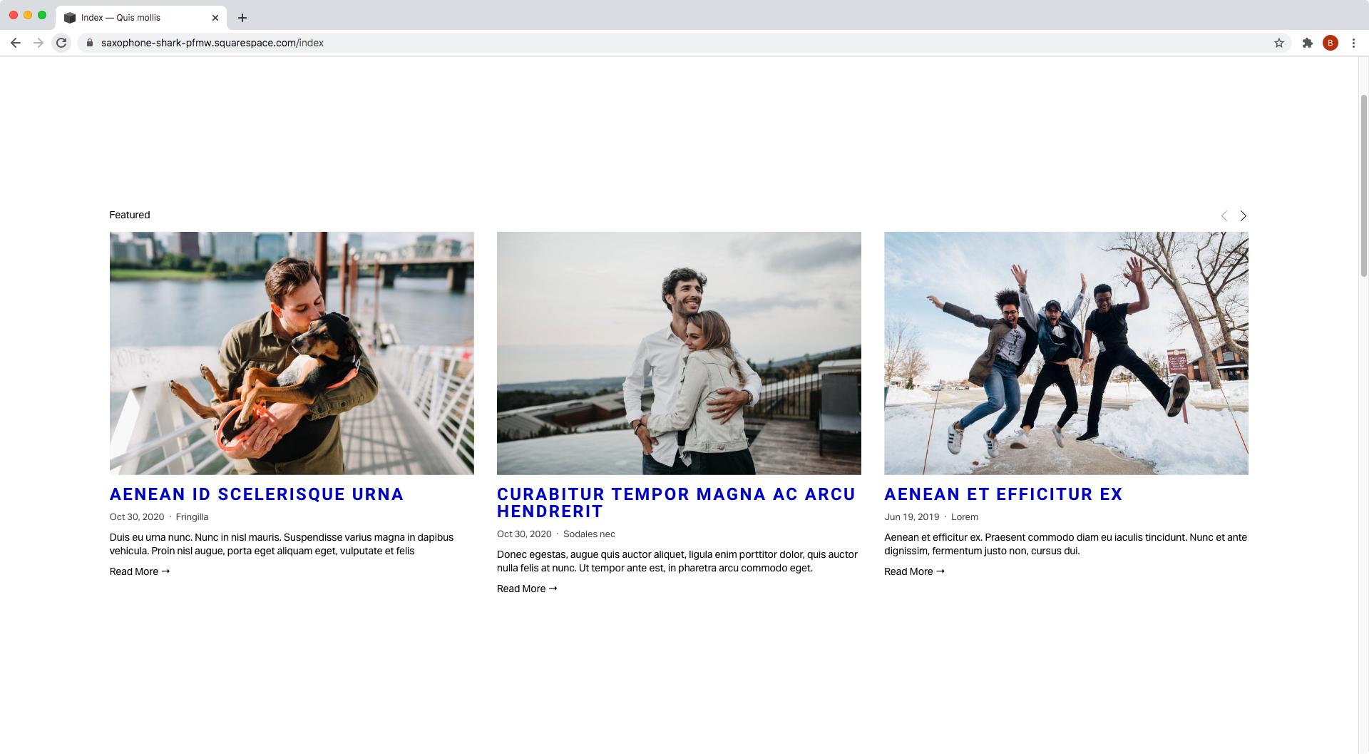Styling The Title Font 70 71 Ce And 71 Fe Summary Block Carousel • Squarespace Coding
