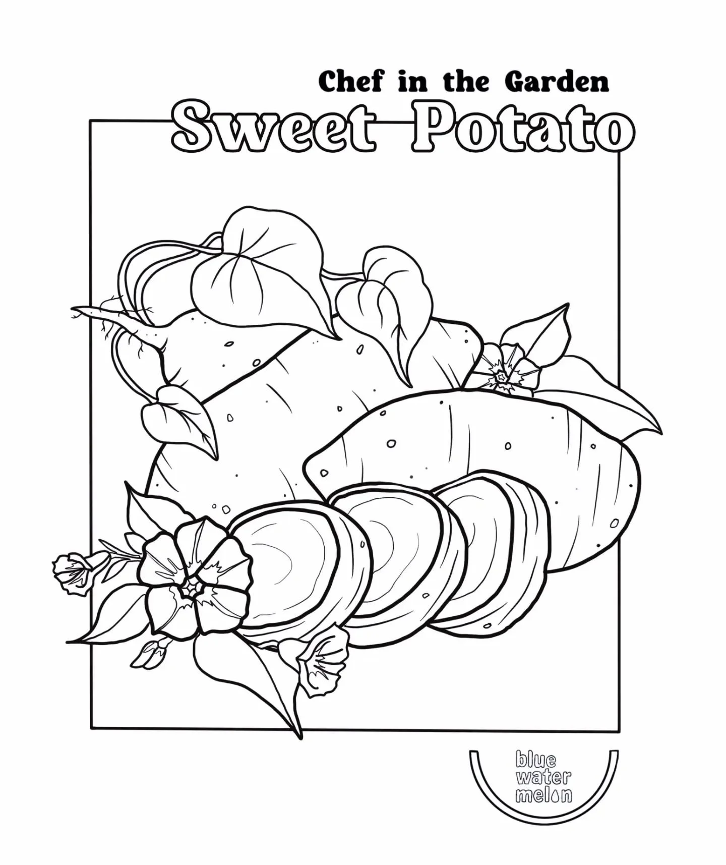 Blue Watermelon Project