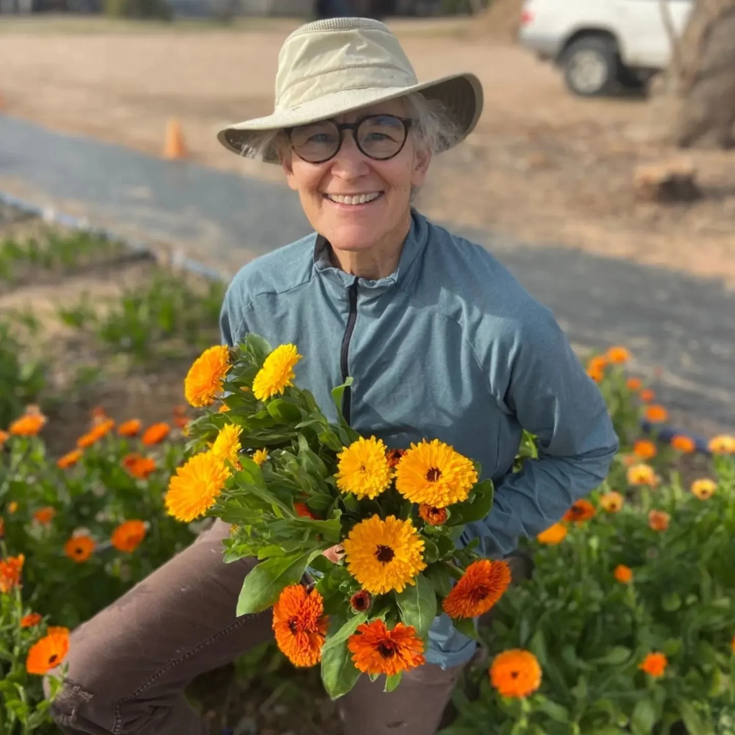 Blue Watermelon Project