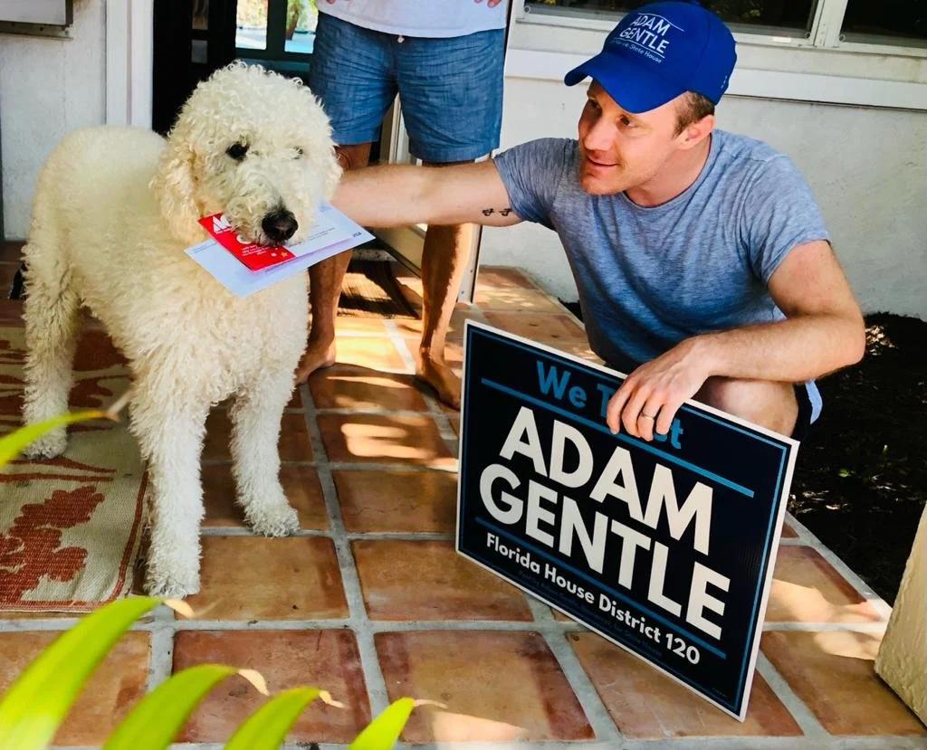 Blog 2 — Adam Gentle for Democracy