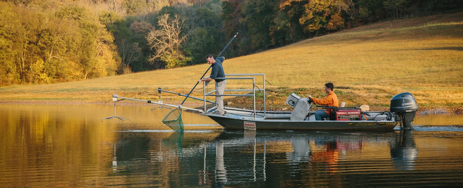 Fish & Pond Stocking Georgia | Trophy Pond — Trophy Pond