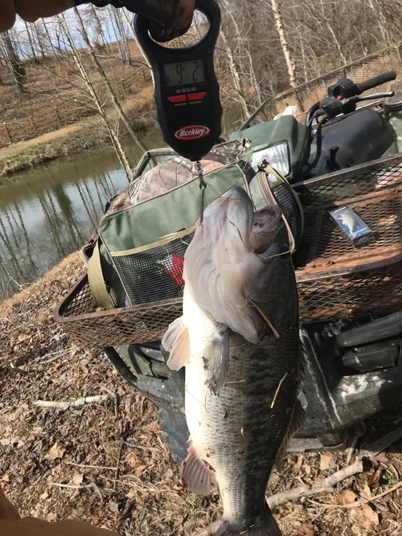 Fish & Pond Stocking Georgia | Trophy Pond — Trophy Pond