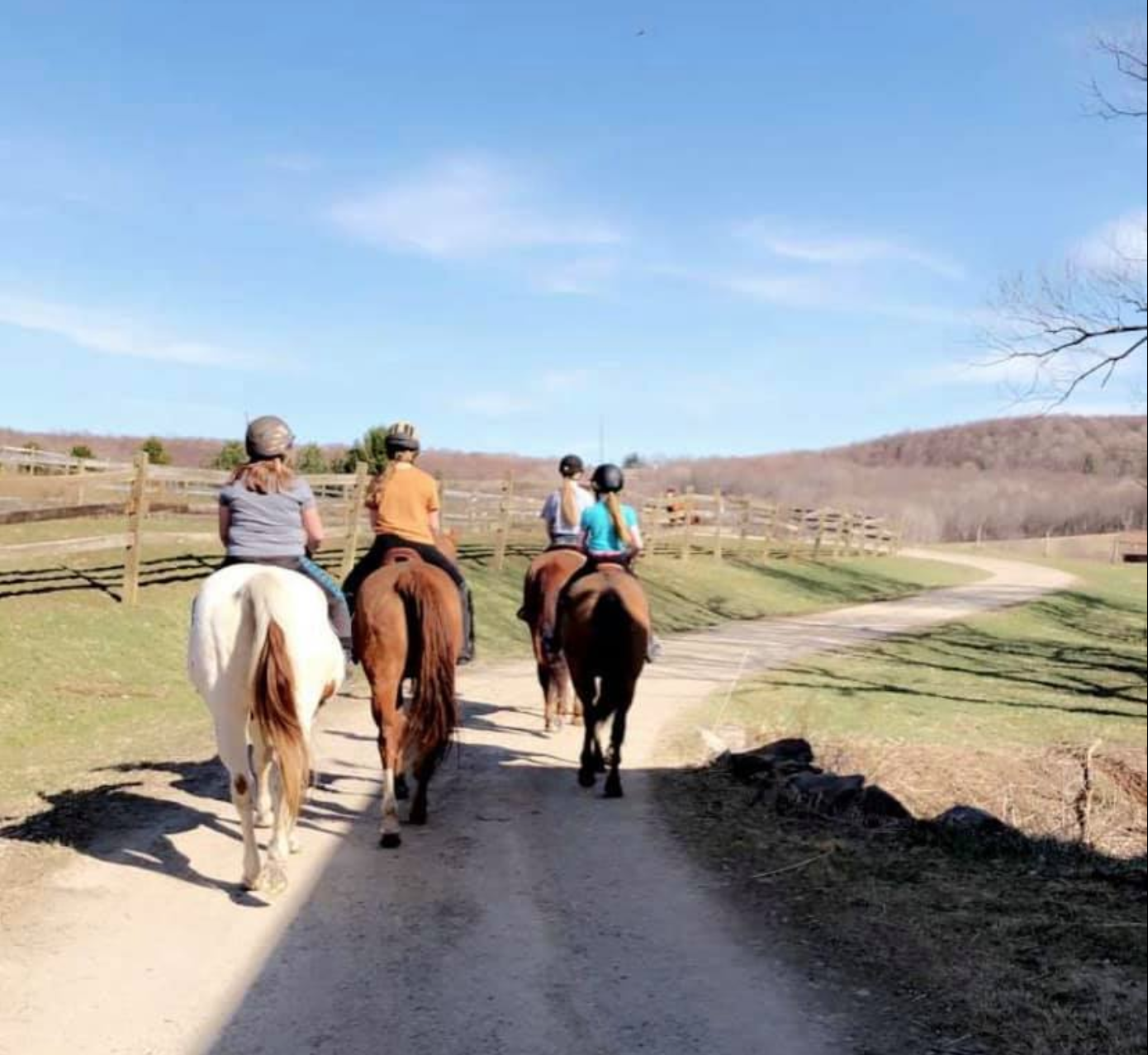 Services 1 — A Blind Pig