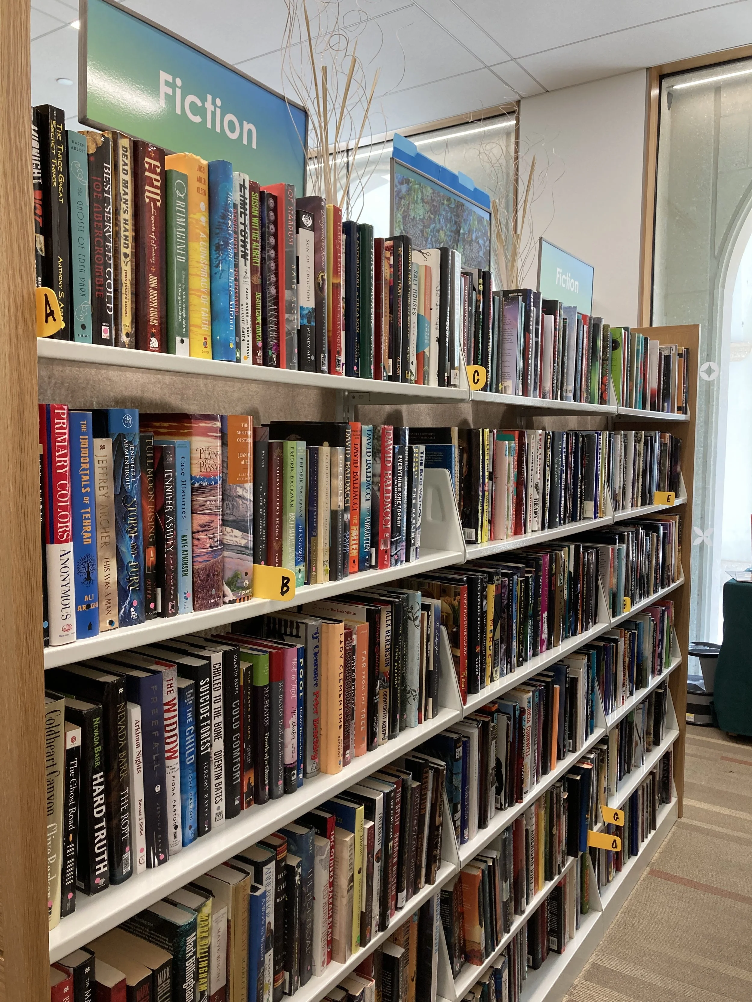 Friends of the Venice Public Library