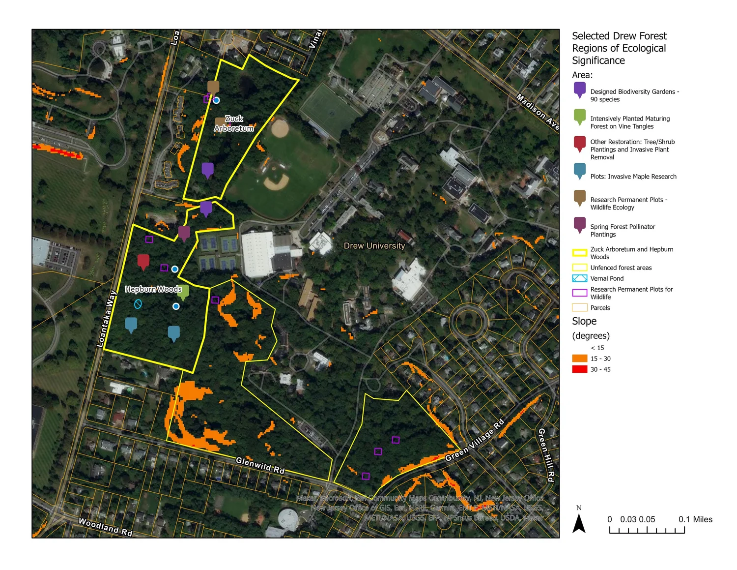 Visit the Forest — Friends of the Drew Forest