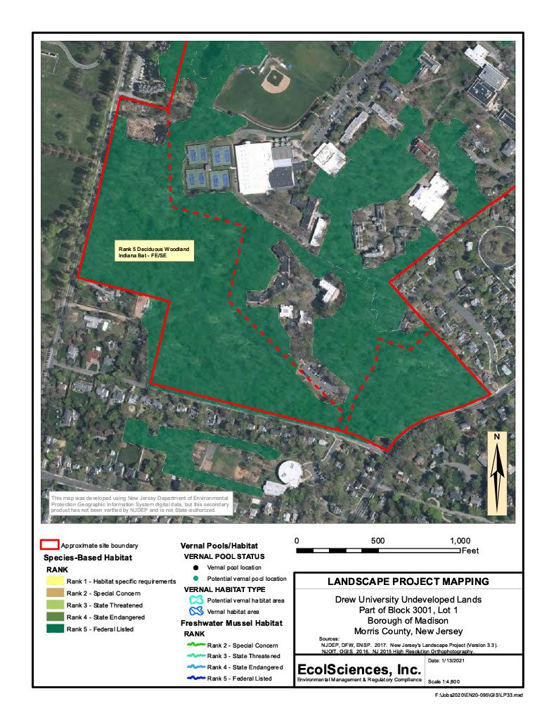 Maps — Friends of the Drew Forest