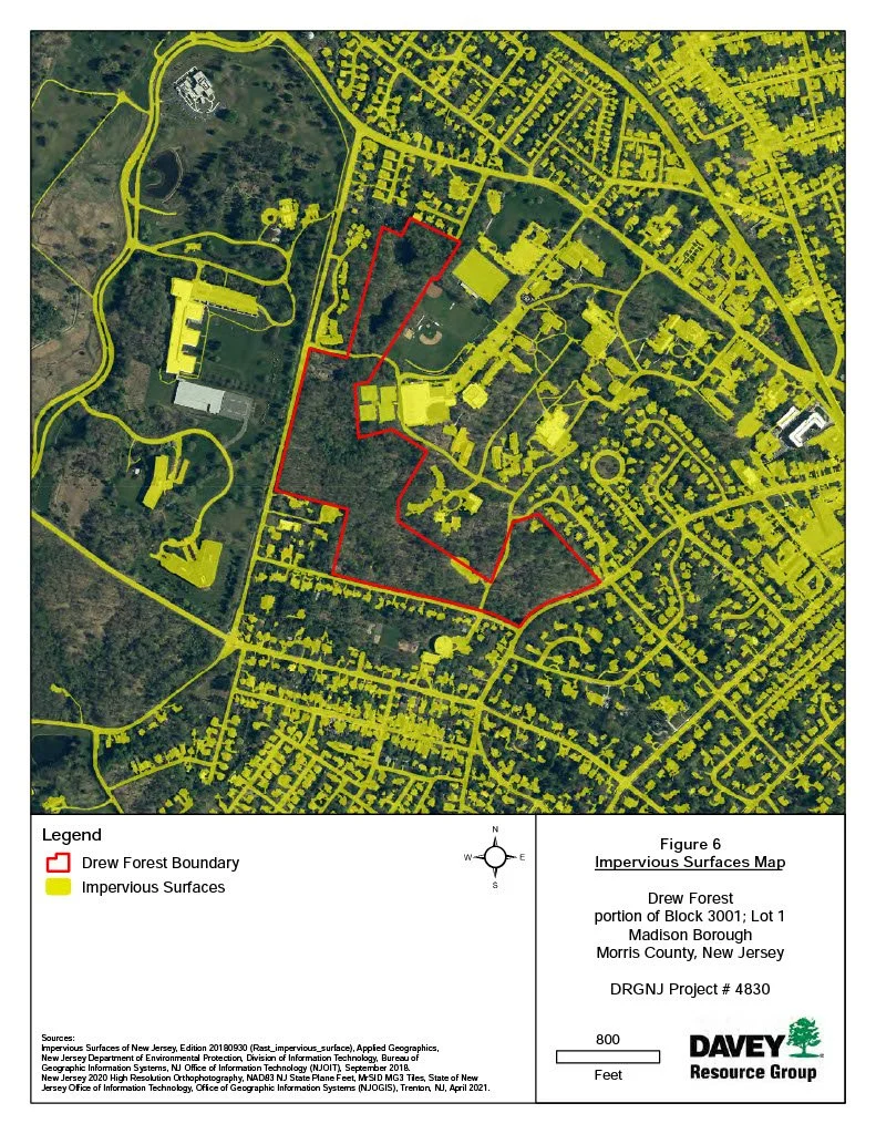 Maps — Friends of the Drew Forest