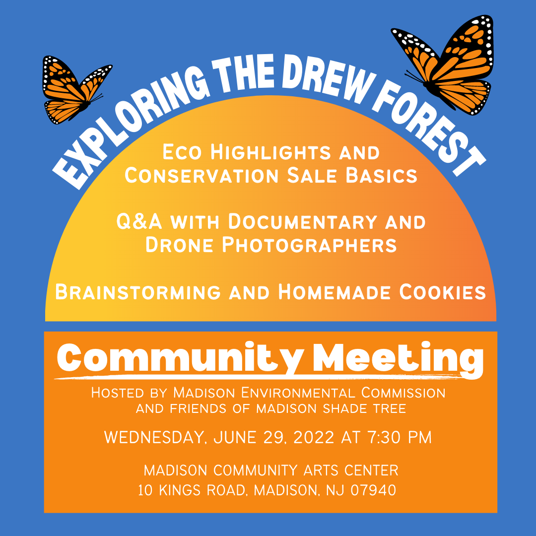 6/29 - Community Meeting: Exploring the Drew Forest — Friends of the ...